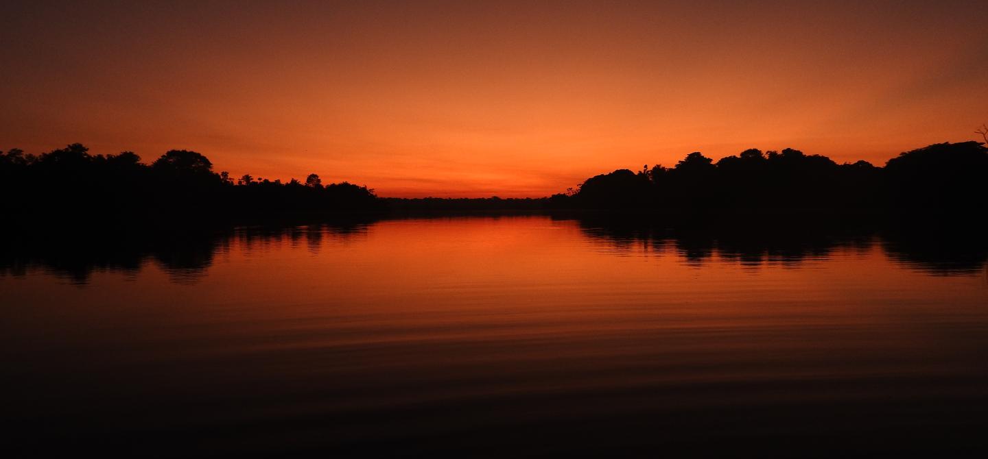 Home | Real Amazon Experience - Discover your Amazon