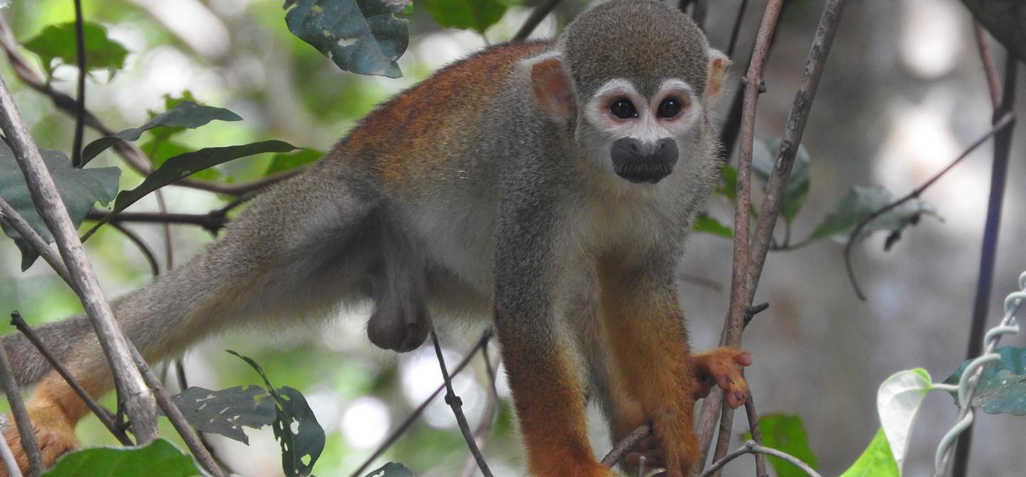 Home | Real Amazon Experience - Discover your Amazon