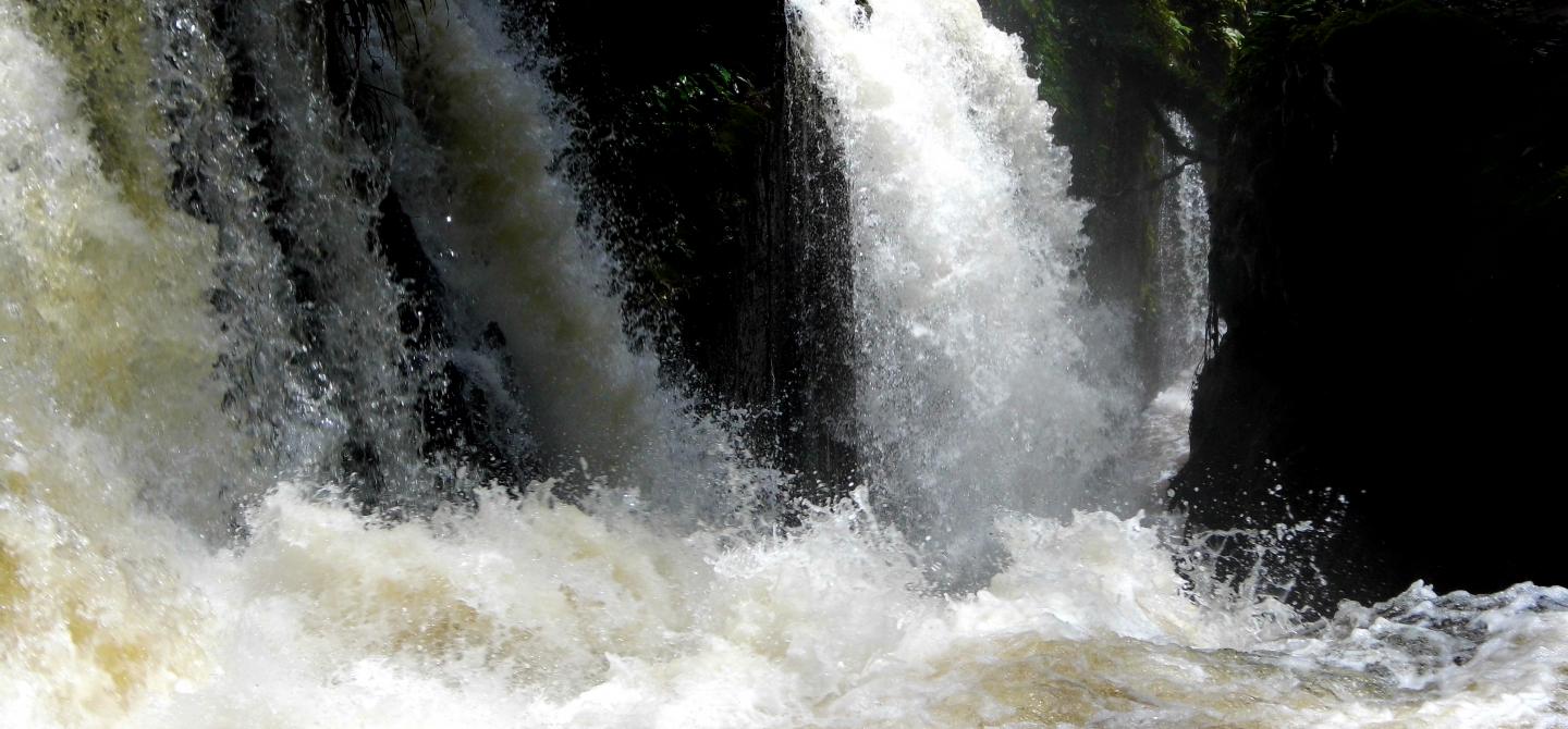 Home | Real Amazon Experience - Discover your Amazon