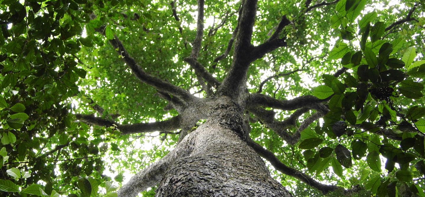 Home | Real Amazon Experience - Discover your Amazon