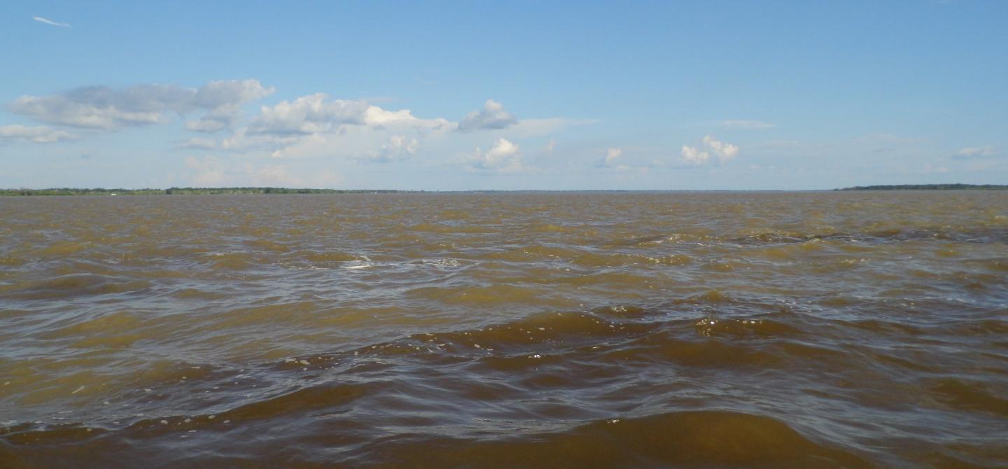 Home | Real Amazon Experience - Discover your Amazon